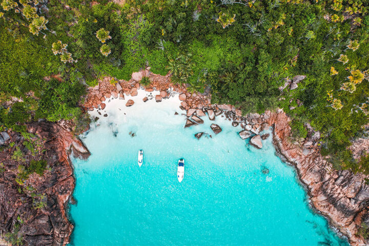 Discover Praslin Island - La Cigale Estate